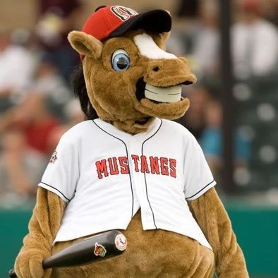 Homer (Billings Mustangs) | Minor League Baseball Wiki | Fandom