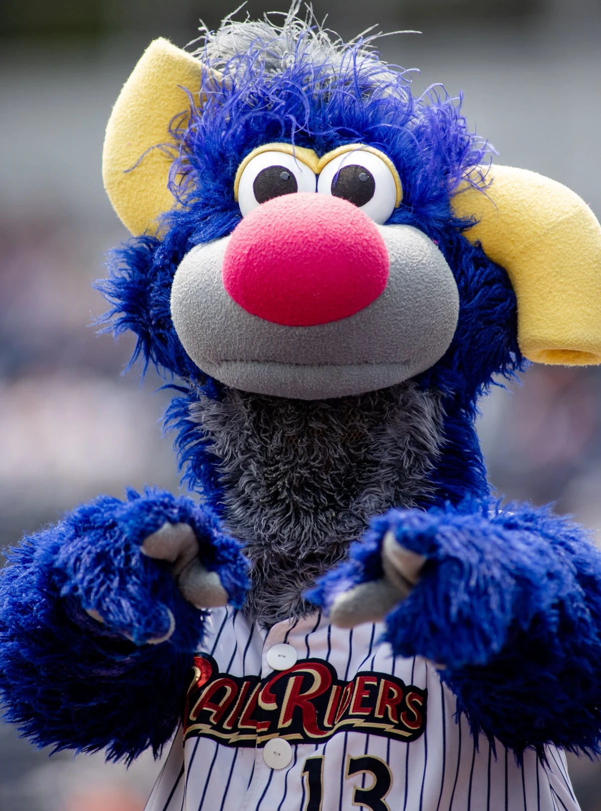 Champ | Minor League Baseball Wiki | Fandom