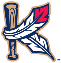 Carolina League/Teams | Minor League Baseball Wiki | Fandom