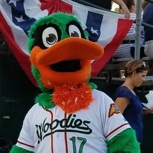 DEWD | Minor League Baseball Wiki | Fandom