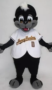 Bam | Minor League Baseball Wiki | Fandom