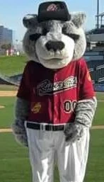 Dinger | Minor League Baseball Wiki | Fandom