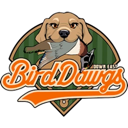 Frontier League/Teams | Minor League Baseball Wiki | Fandom