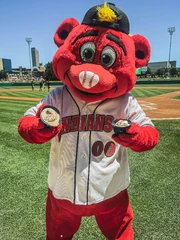 Rowdie | Minor League Baseball Wiki | Fandom