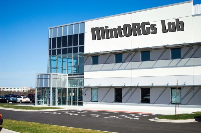 MintORGs Lab | MintORGs Wiki | Fandom