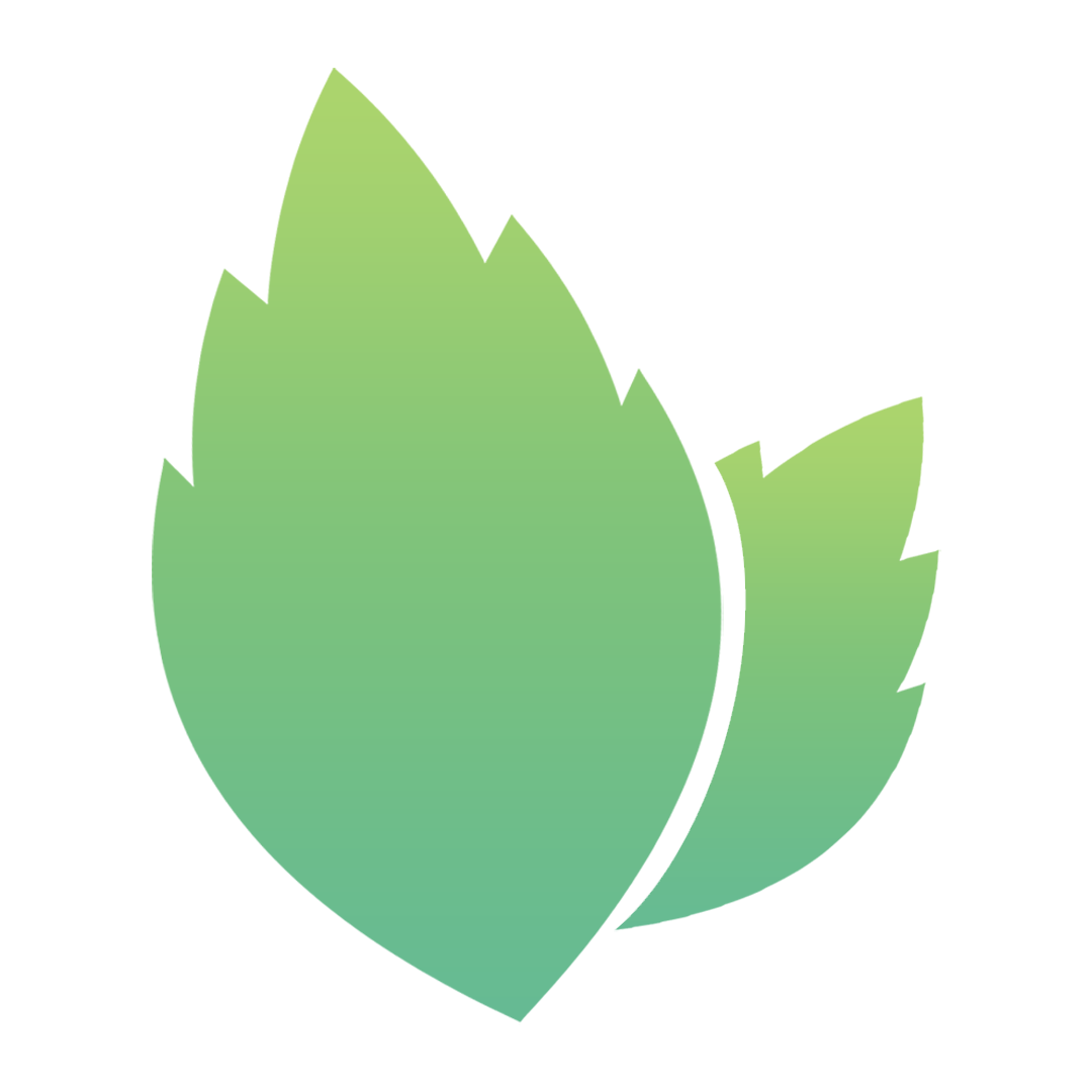 Mint Wiki | Fandom
