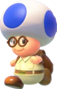 Smart Toad | Mint's Hints Wiki | Fandom