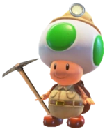 Banktoad | Mint's Hints Wiki | Fandom