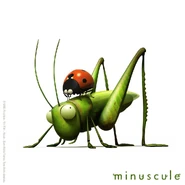 Ladybug | Minuscule Wiki | Fandom
