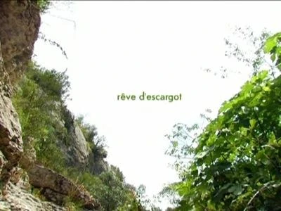 A Snail's Dream | Minuscule Wiki | Fandom