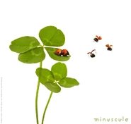 Ladybug | Minuscule Wiki | Fandom