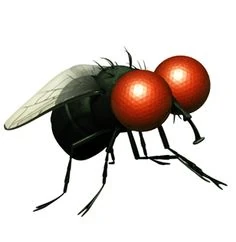 Fly | Minuscule Wiki | Fandom