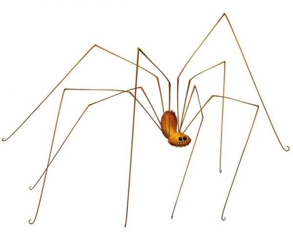 Daddy Long Legs Spider | Minuscule Wiki | Fandom