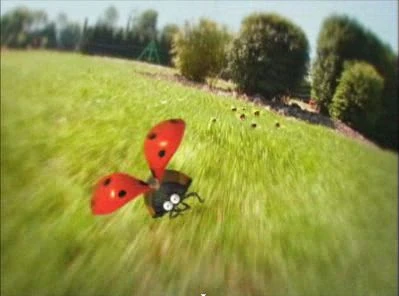 Ladybug | Minuscule Wiki | Fandom