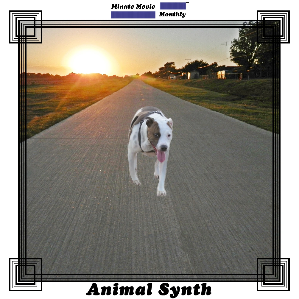 Animal Synth | Minute Movie Monthly Wiki | Fandom