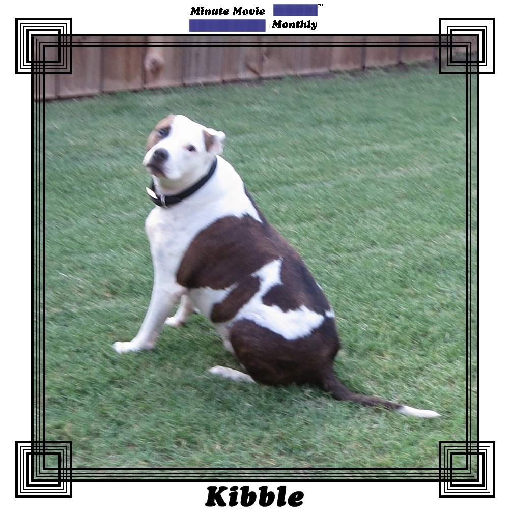 Kibble (song) | Minute Movie Monthly Wiki | Fandom