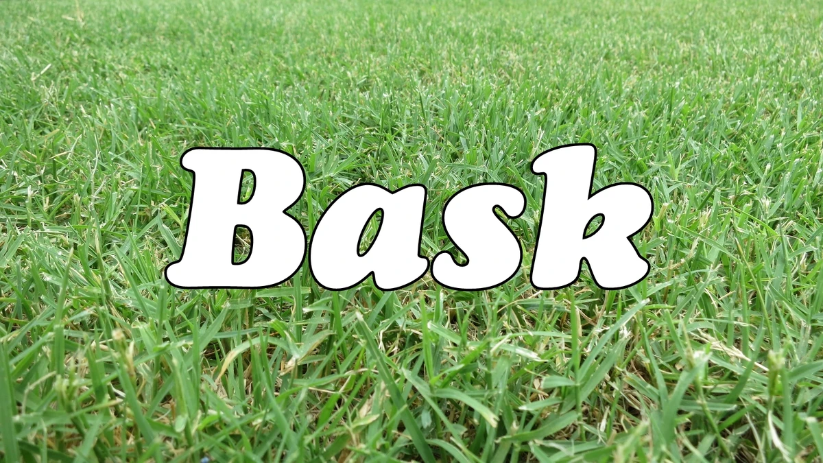 Bask | Minute Movie Monthly Wiki | Fandom