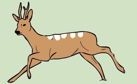 Deer stag | Wiki Mi Pequeño Pony: Fan Labor | Fandom