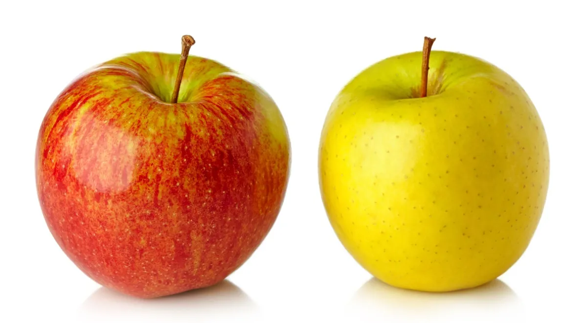 Яблоко | Мир морфов Вики | Fandom