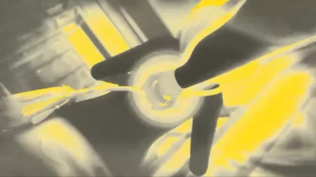 Pollen | Miraculous Ladybug Fanon Wikia | Fandom