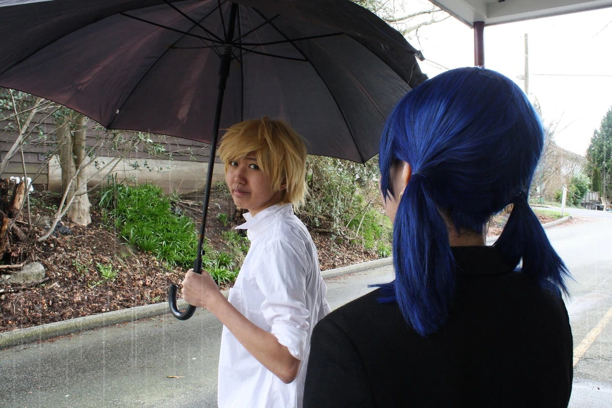 Cosplay | Miraculous Ladybug Fanon Wikia | Fandom