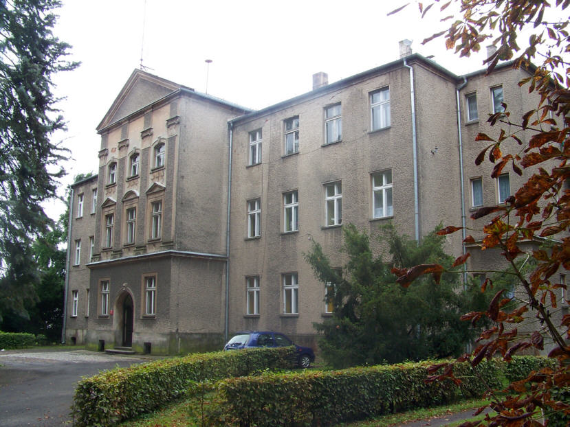 Pałac W Kostowicach Miraculum Lis I Szylkretowy Kot Wiki Fandom