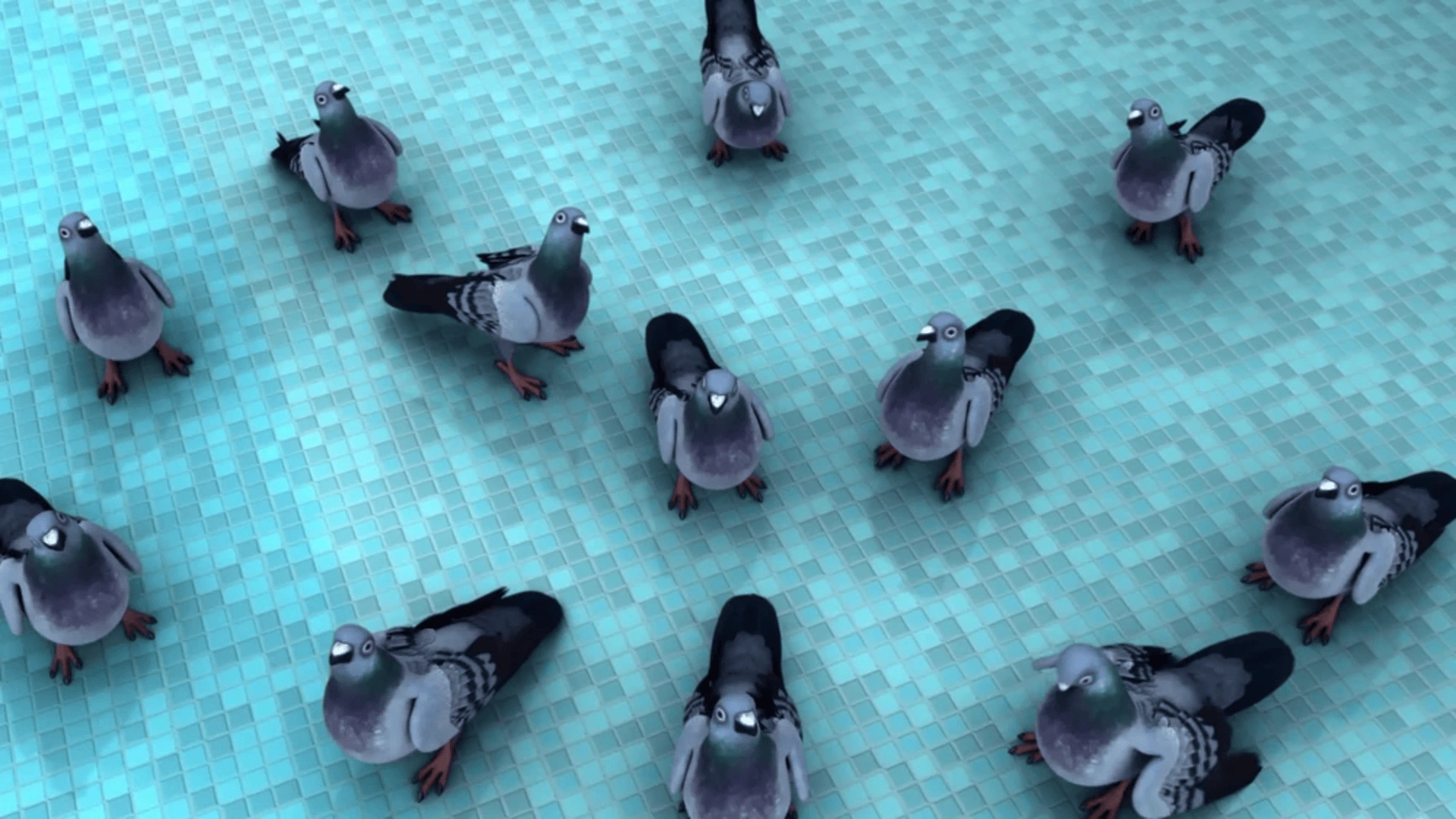 Categoria:Piccioni | Miraculous Wiki | Fandom