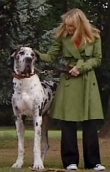 Robert | Miranda Wiki | Fandom