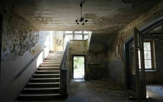 SCP-012-С - Паук в доме | Мировой Фанон SCP Вики | Fandom