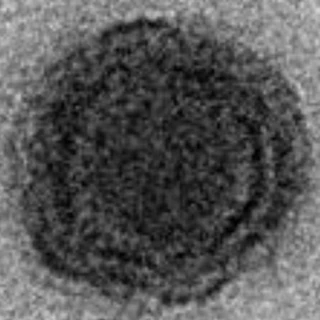 SCP-382-С - УЛЫБАЙСЯ | Мировой Фанон SCP Вики | Fandom