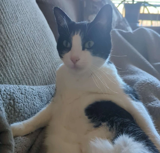 Michelle | MirrORG Wiki | Fandom