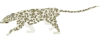 Snow Leopard | Mirror Realms Games Wiki | Fandom