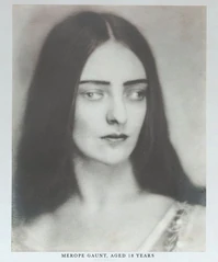 Merope Riddle | Mischief Mayhem Wiki | Fandom