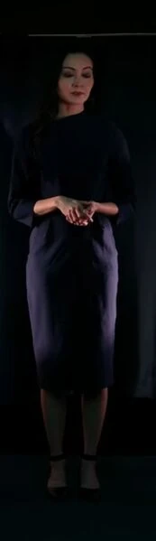 Stewardess | Mischief Mikey Wiki | Fandom