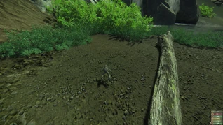 Toad | Miscreated Wiki | Fandom