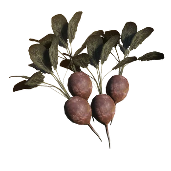 Radishes | Miscreated Wiki | Fandom
