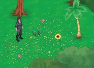 Miscrian Forest | Wiki Miscripedia | Fandom