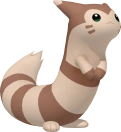 Furret | TheOneandOnlyMisdreavous525's Total Pokemon Wiki | Fandom