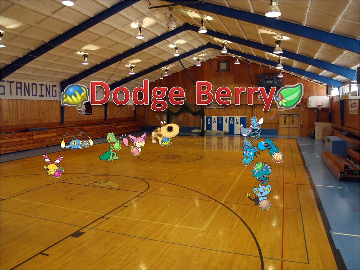 Dodge Berry | TheOneandOnlyMisdreavous525's Total Pokemon Wiki | Fandom