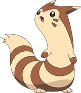 Furret | TheOneandOnlyMisdreavous525's Total Pokemon Wiki | Fandom