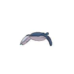 Mantine | TheOneandOnlyMisdreavous525's Total Pokemon Wiki | Fandom