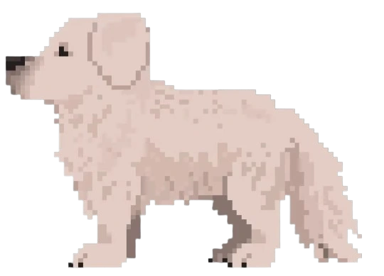 Basil | Missing Dogs Wiki | Fandom