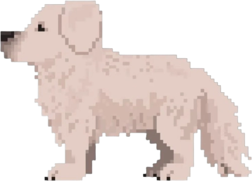 Dogs | Missing Dogs Wiki | Fandom