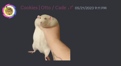 Cookies | Mission Pandora Wiki | Fandom