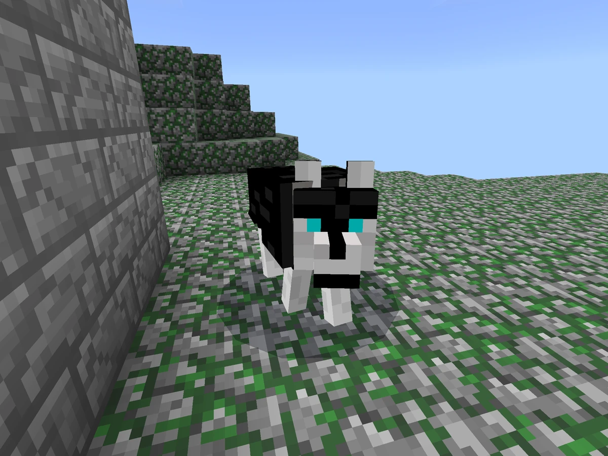 Husky | Missioncraft Wikia | Fandom