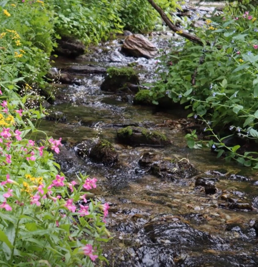 Darkhorse Creek, MT | Missouri River Wiki | Fandom