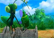 Stinky | Sunny Patch Wiki | Fandom