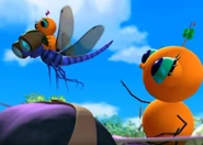 Pansy | Sunny Patch Wiki | Fandom