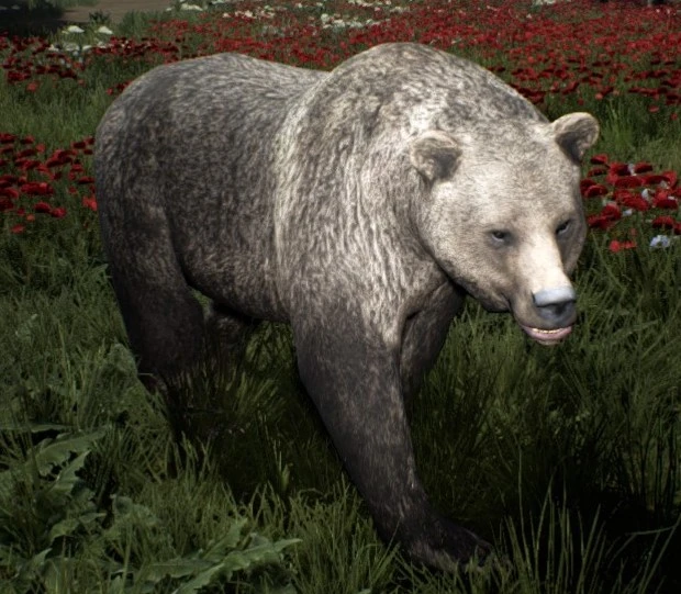 Bears | Mist Survival Wiki | Fandom