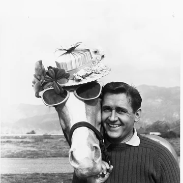 Mister Ed Wiki | Fandom